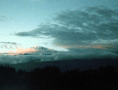 キリマンジャロ1