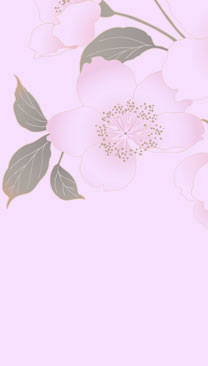 Peter Wachter Saori Kano公式ホームページ「ブラームスはお好き？」[CD]