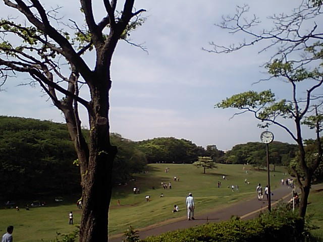 根岸 森林 公園 根岸 森林 公園 ねぎし しん りんこう えん は 神奈川 県 横浜 市 中 区 に ある 総合